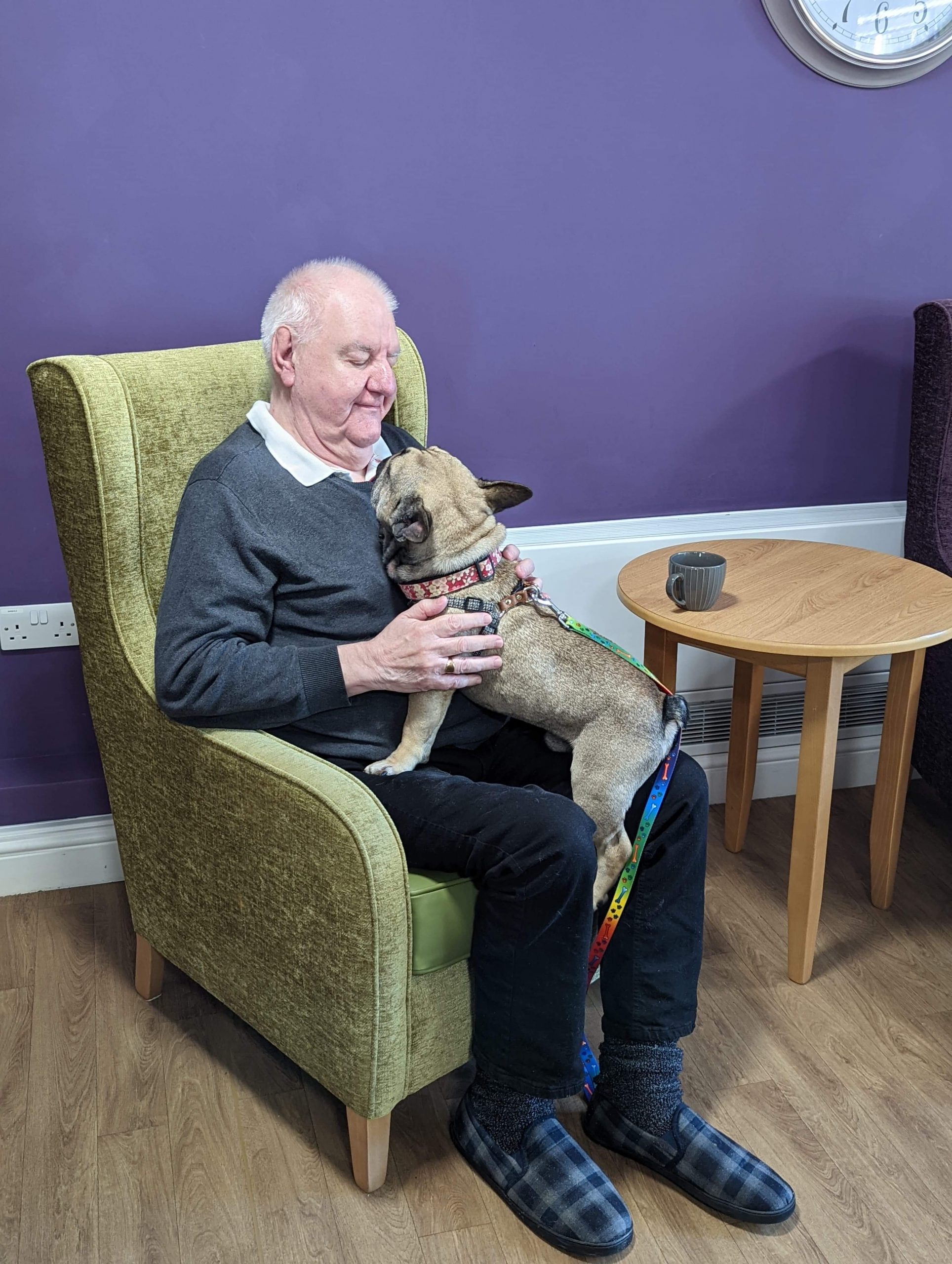 Care Home Visits - The Rescue Hotel